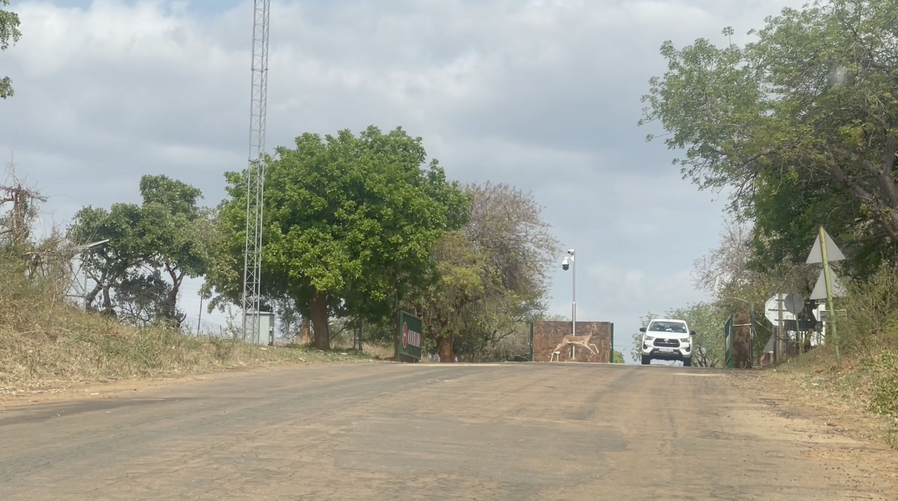LIONESS HUNTS IMPALA BY CAR – Wild Sightings